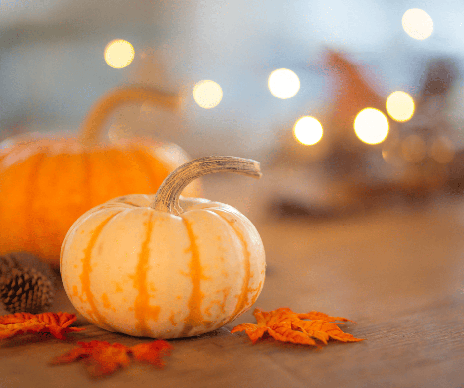 A Season of Appreciation: Making Space for Gratitude and Thankfulness ...